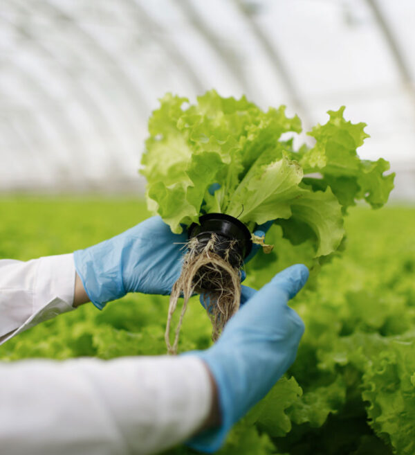Crop Sciences-X - friesennutrition.com